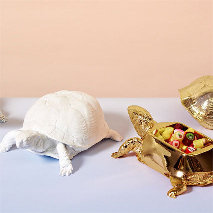 Turtle Box - LibaStyle